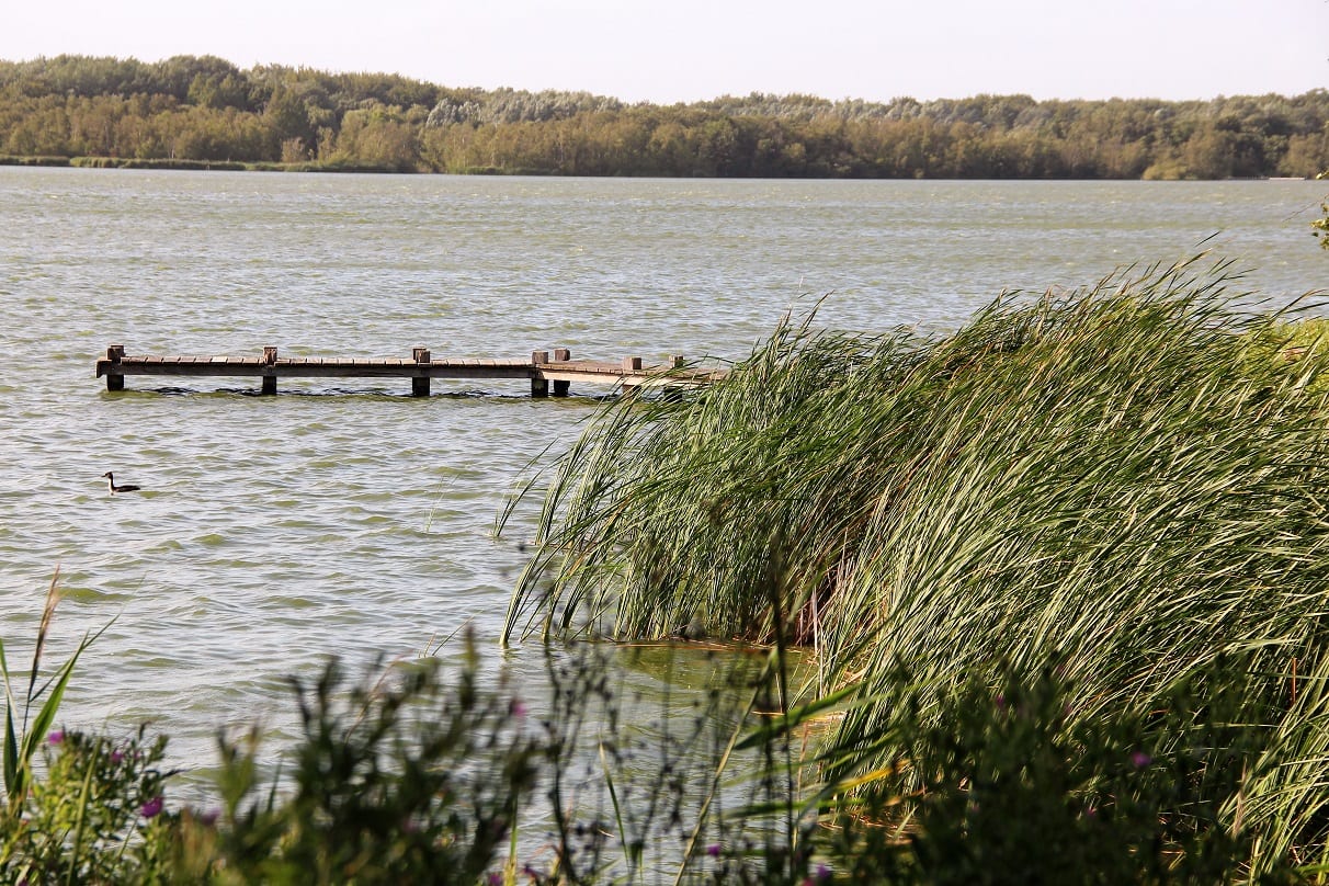 In Amstelveen heerlijk toeven aan De Poel... - Meer dan vijftig