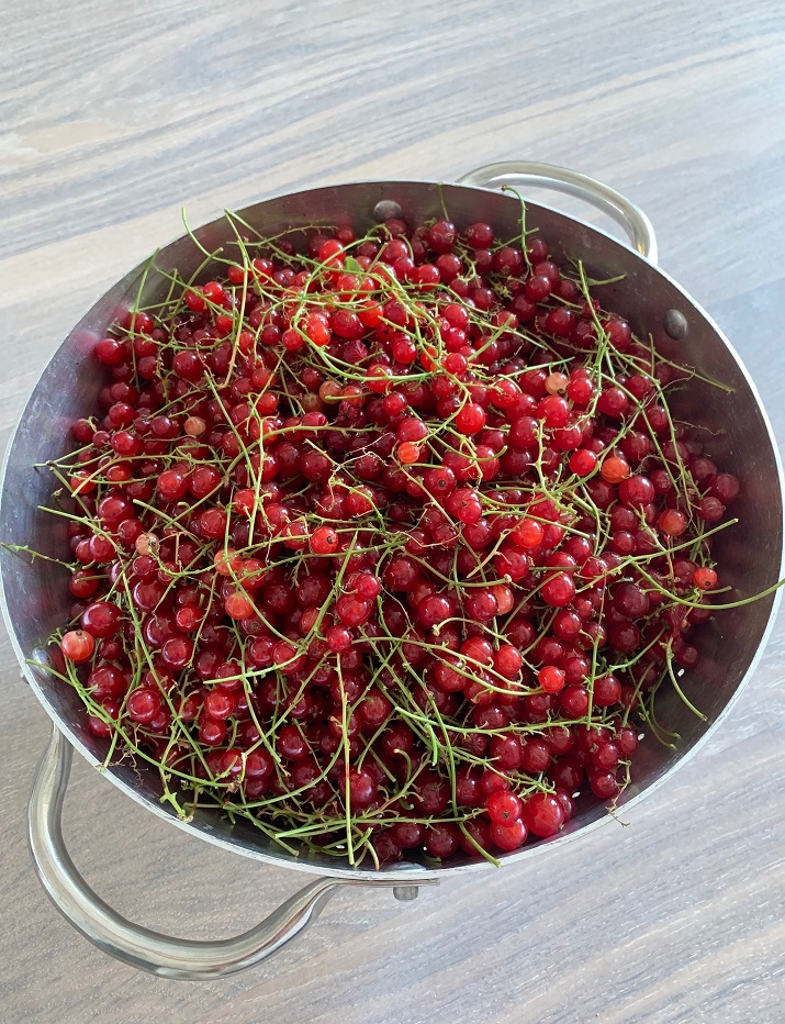 Zomertijd+zomerfruit = zomerjam van aalbessen maken - Meer dan vijftig